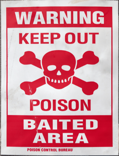 Rat Bait and Pets: What Every Owner Needs to Know - After Hours Vet ...